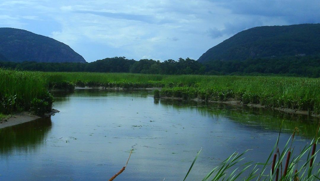 Constitution Marsh Sanctuary - Hotel 41 at Times Square - New York City