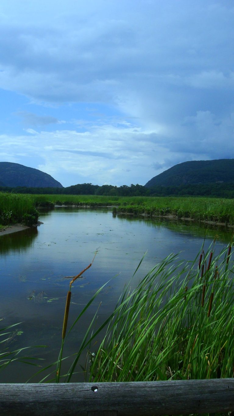 Constitution Marsh Sanctuary - Hotel 41 at Times Square - New York City